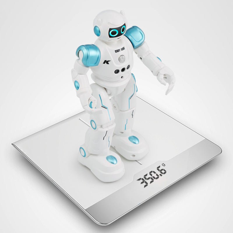 Remote Control Intelligent Robot – Zambeel