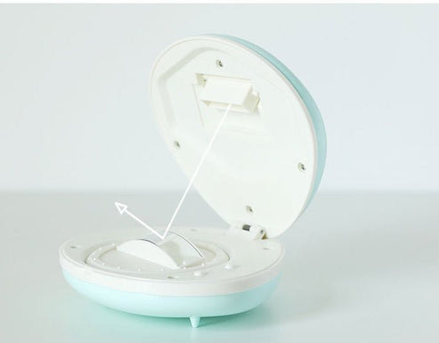 Shell Rainbow Projection Light – Zambeel